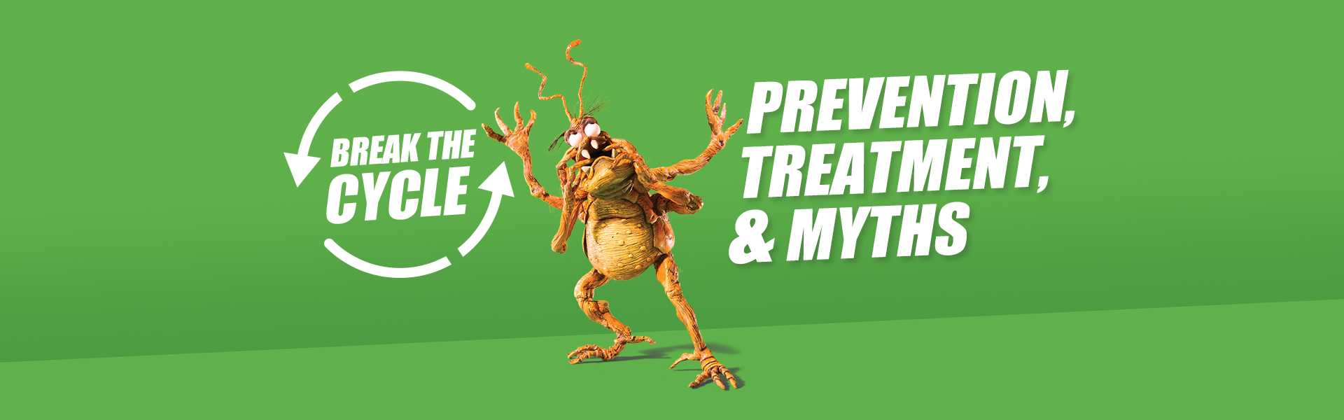 Get The Facts Of Lice | MOOV Head Lice