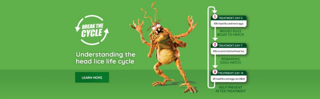 Kill, Remove & Help Prevent Head Lice | Moov Australia