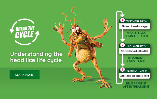 Kill, Remove & Help Prevent Head Lice | Moov Australia